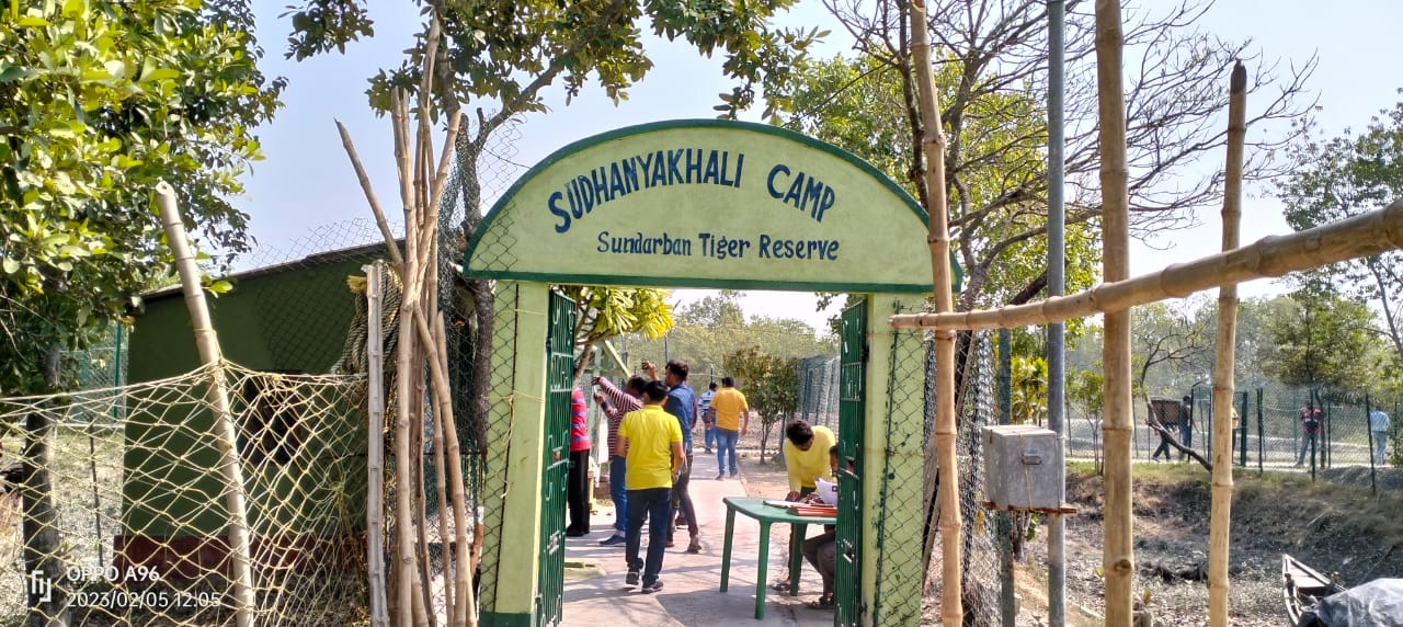 Sundarban National Park - Let's Go Sundarban