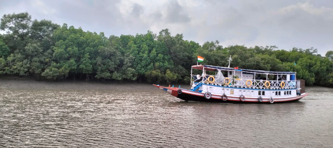 Let's Know Completely About Sundarban National Park